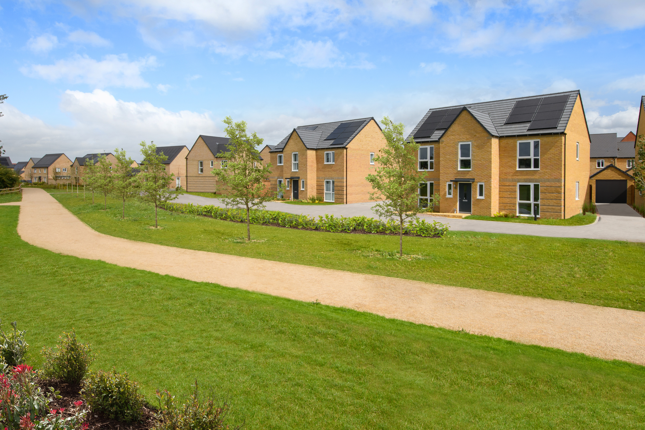 New Build Homes in Cambridge | David Wilson Homes