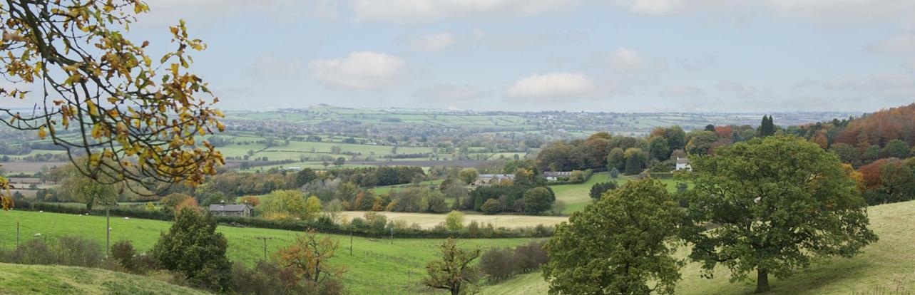 New Homes in Menston | David Wilson Homes