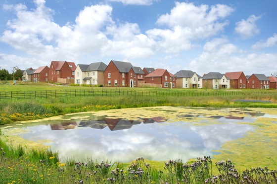 Great Dunmow Grange: New homes in Dunmow, Essex | David Wilson Homes