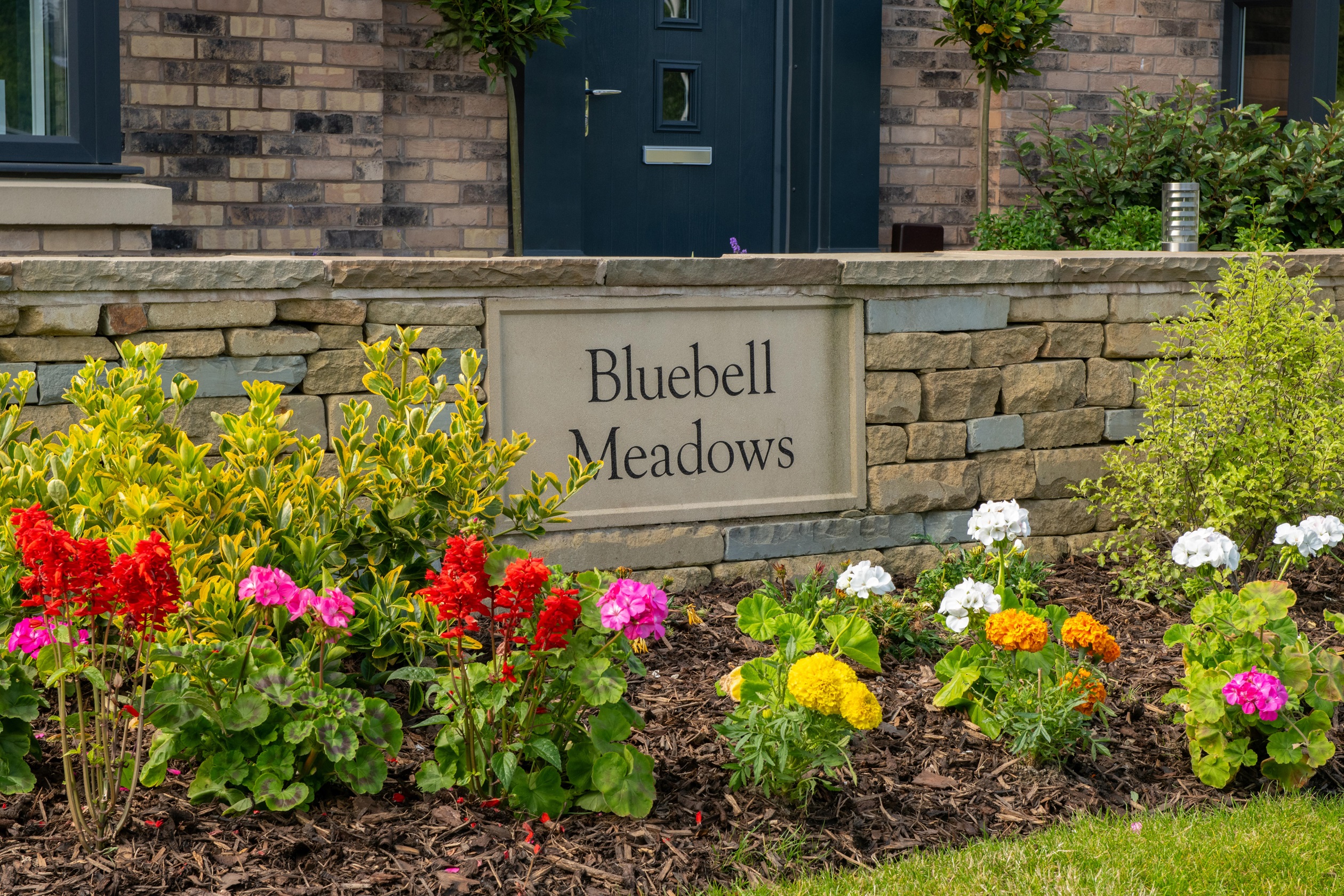 Bluebell Meadows: New homes in Chesterfield, Derbyshire | David Wilson ...