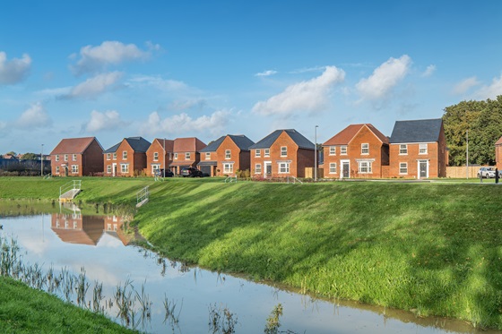 Ersham Park: Find your new home in Hailsham, East Sussex | David Wilson ...