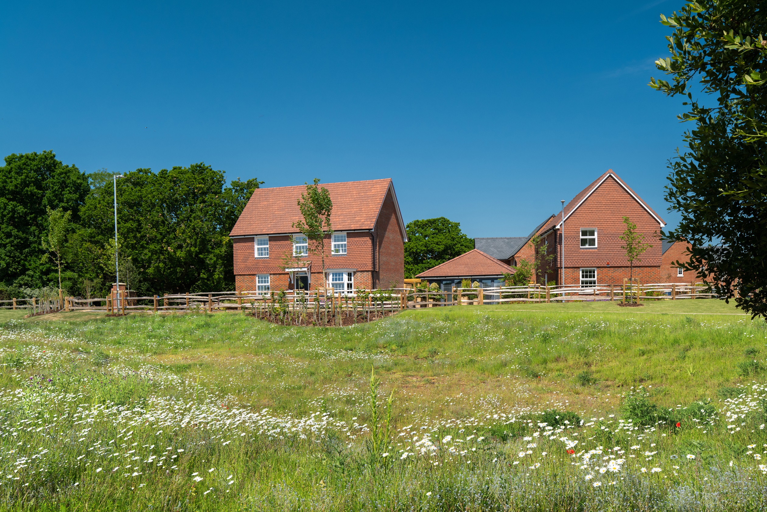 Ersham Park: Find your new home in Hailsham, East Sussex | David Wilson ...