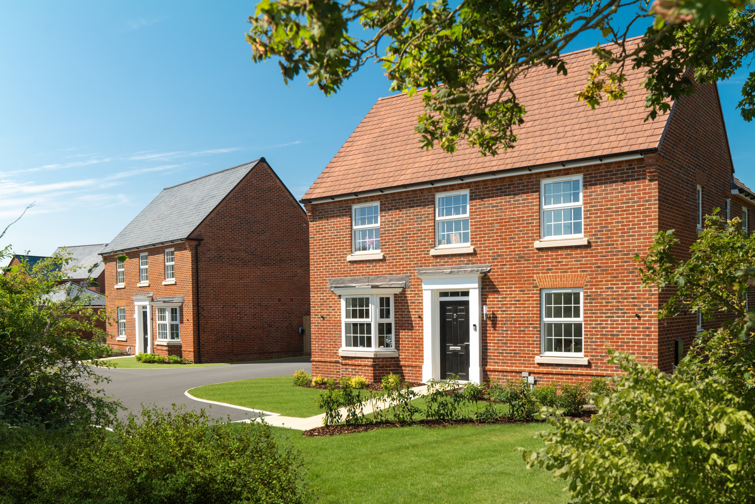 Ersham Park: Find your new home in Hailsham, East Sussex | David Wilson ...
