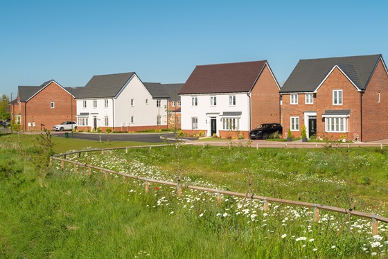 Ryebank Gate | New homes in Yapton, West Sussex| David Wilson Homes