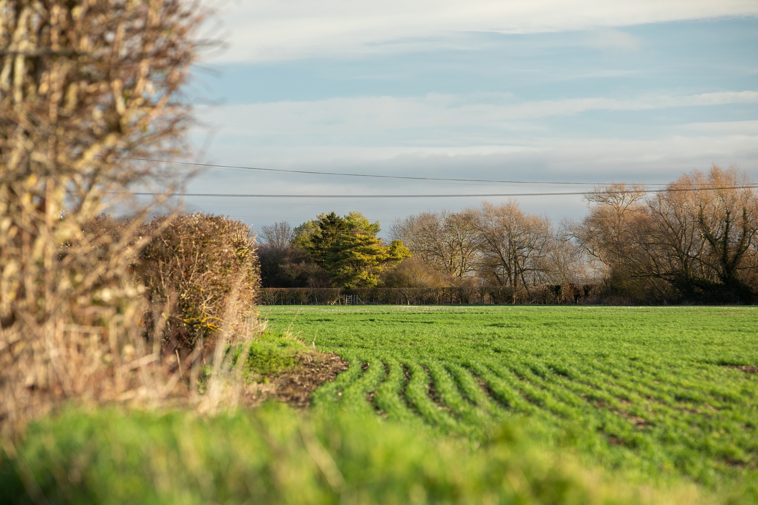 Brookside Meadows: New homes in Grove, Oxfordshire | David Wilson Homes