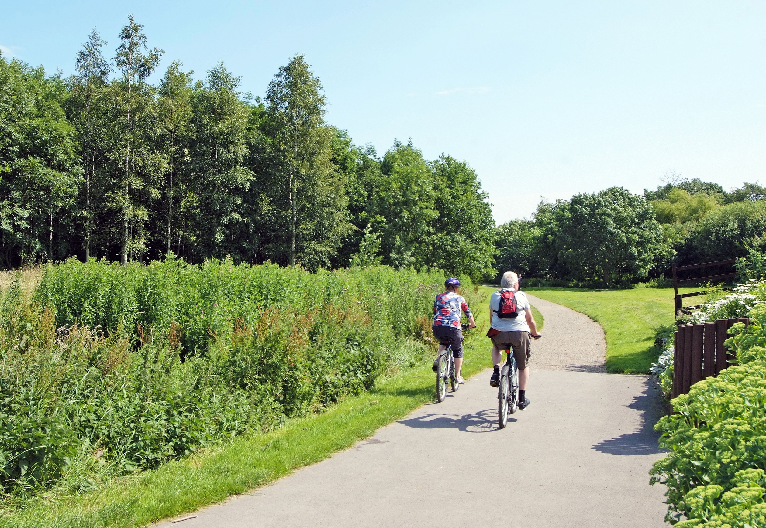 The Hawthorns: New homes in Sutton In Ashfield, Nottinghamshire | David ...