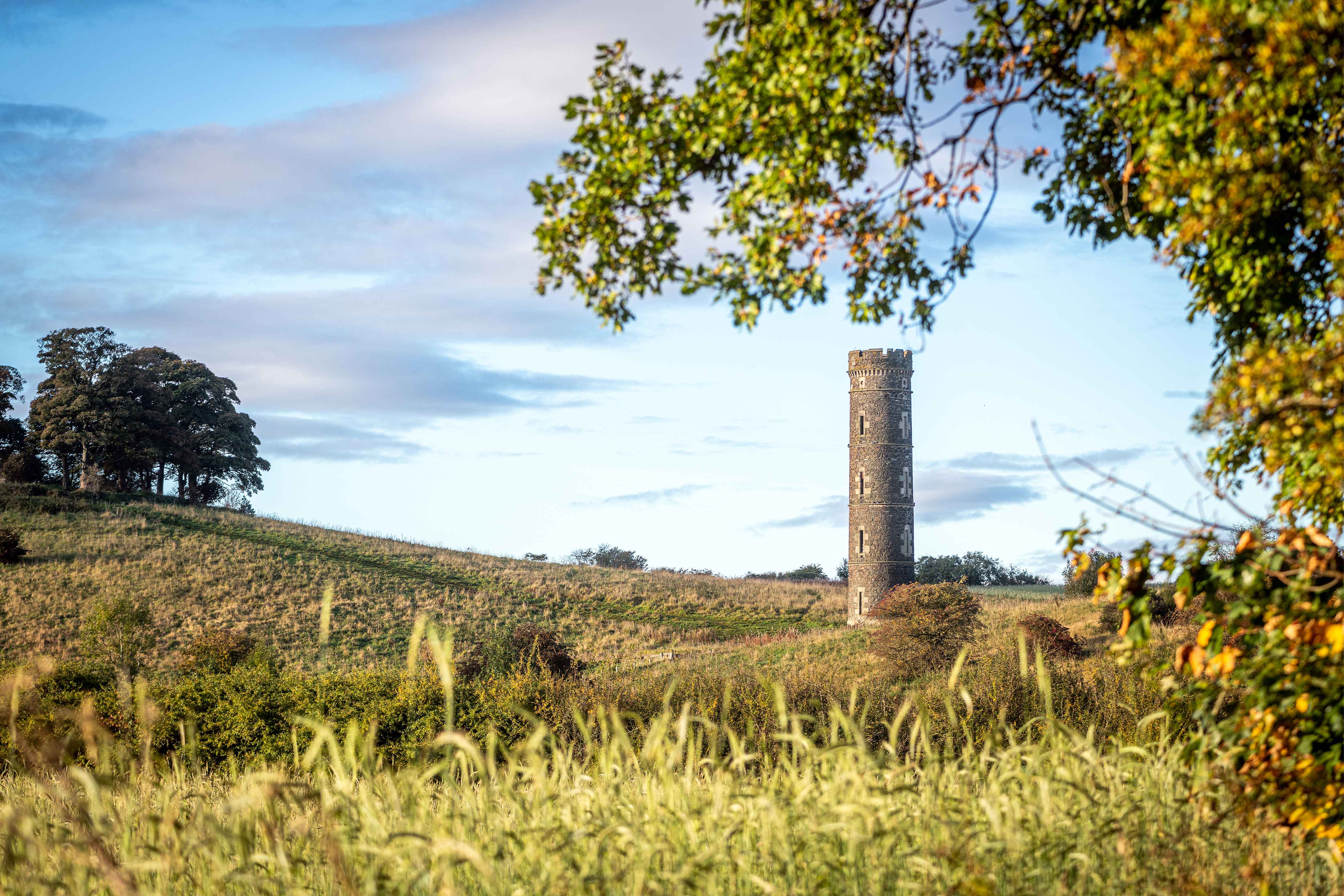 Cammo Meadows | New Homes in Edinburgh | David Wilson Homes