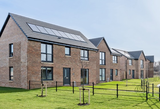 Cammo Meadows | New Homes in Edinburgh | David Wilson Homes