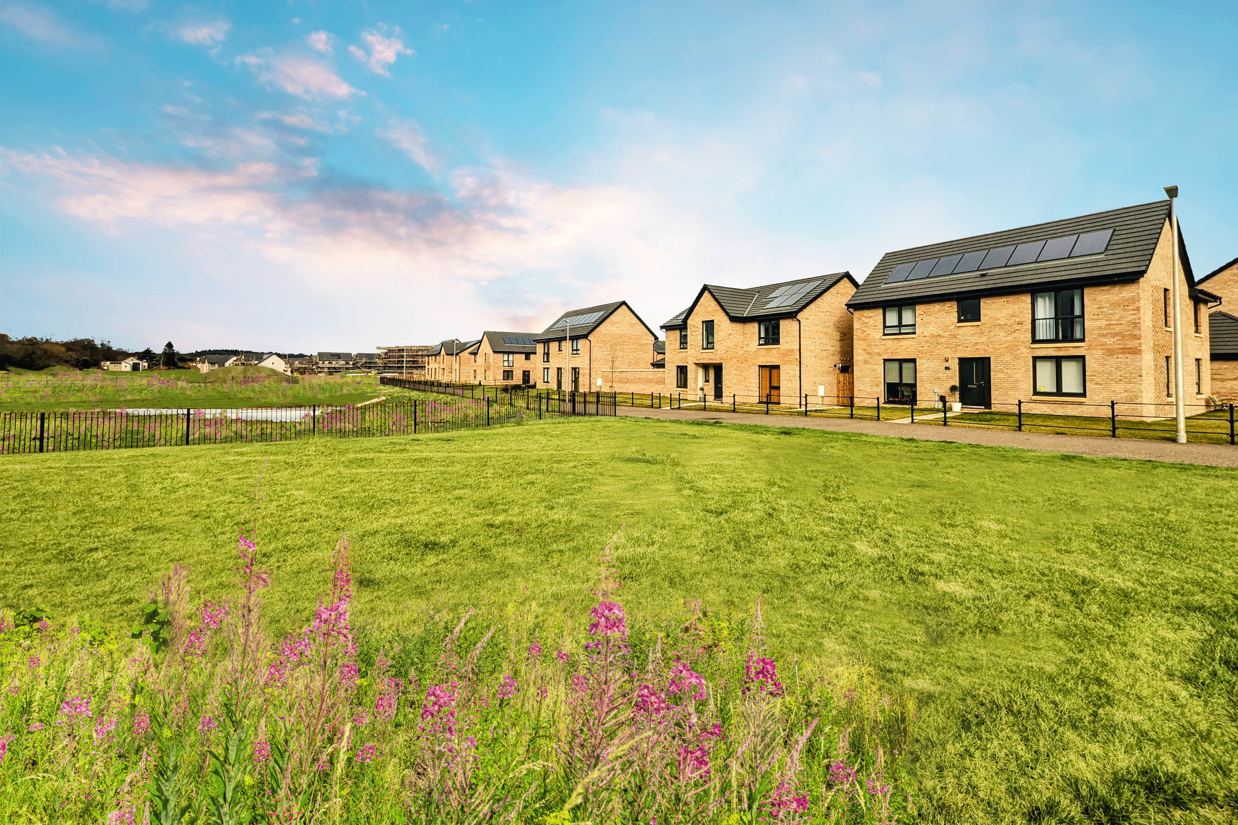 Cammo Meadows | New Homes in Edinburgh | David Wilson Homes