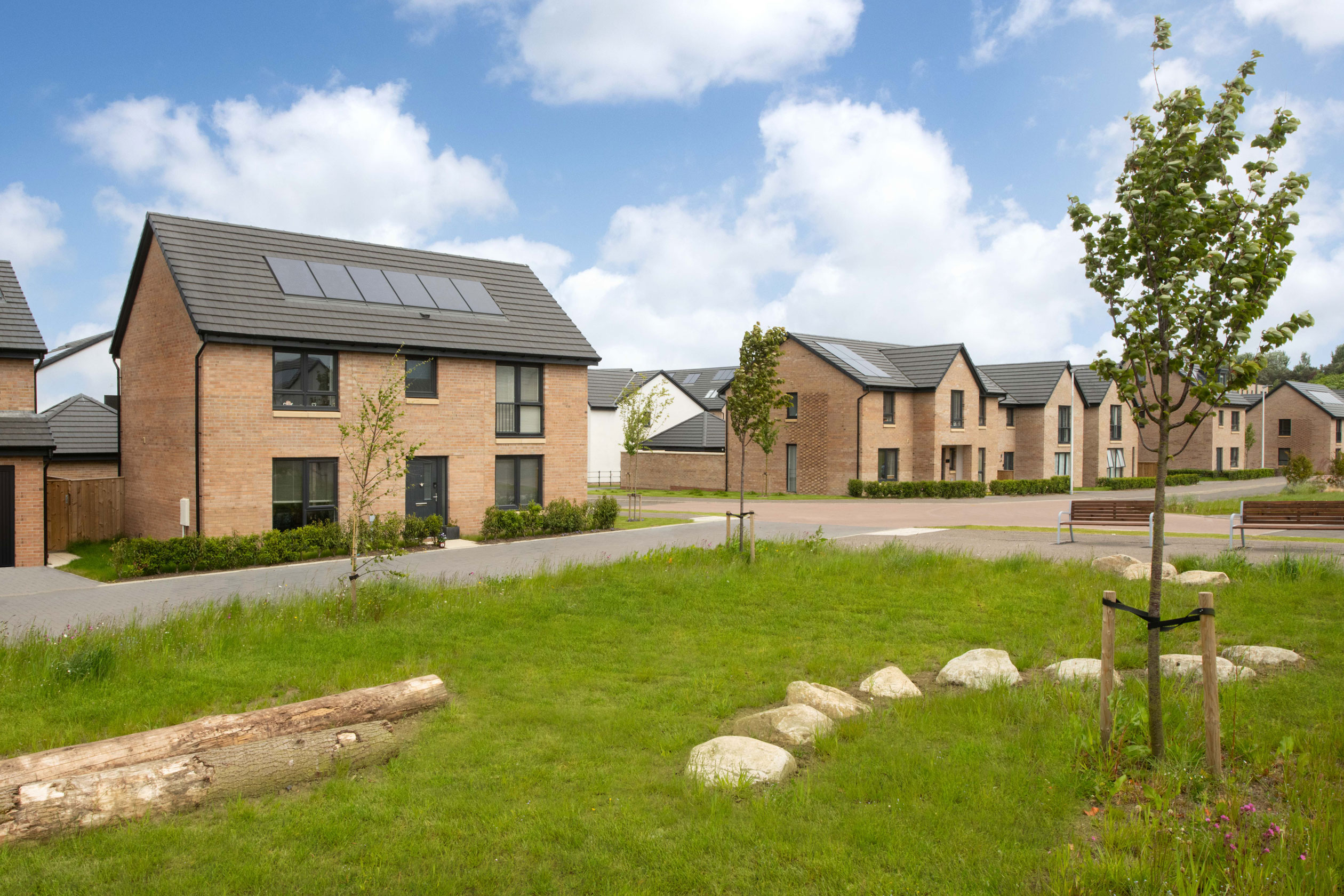 Cammo Meadows | New Homes in Edinburgh | David Wilson Homes