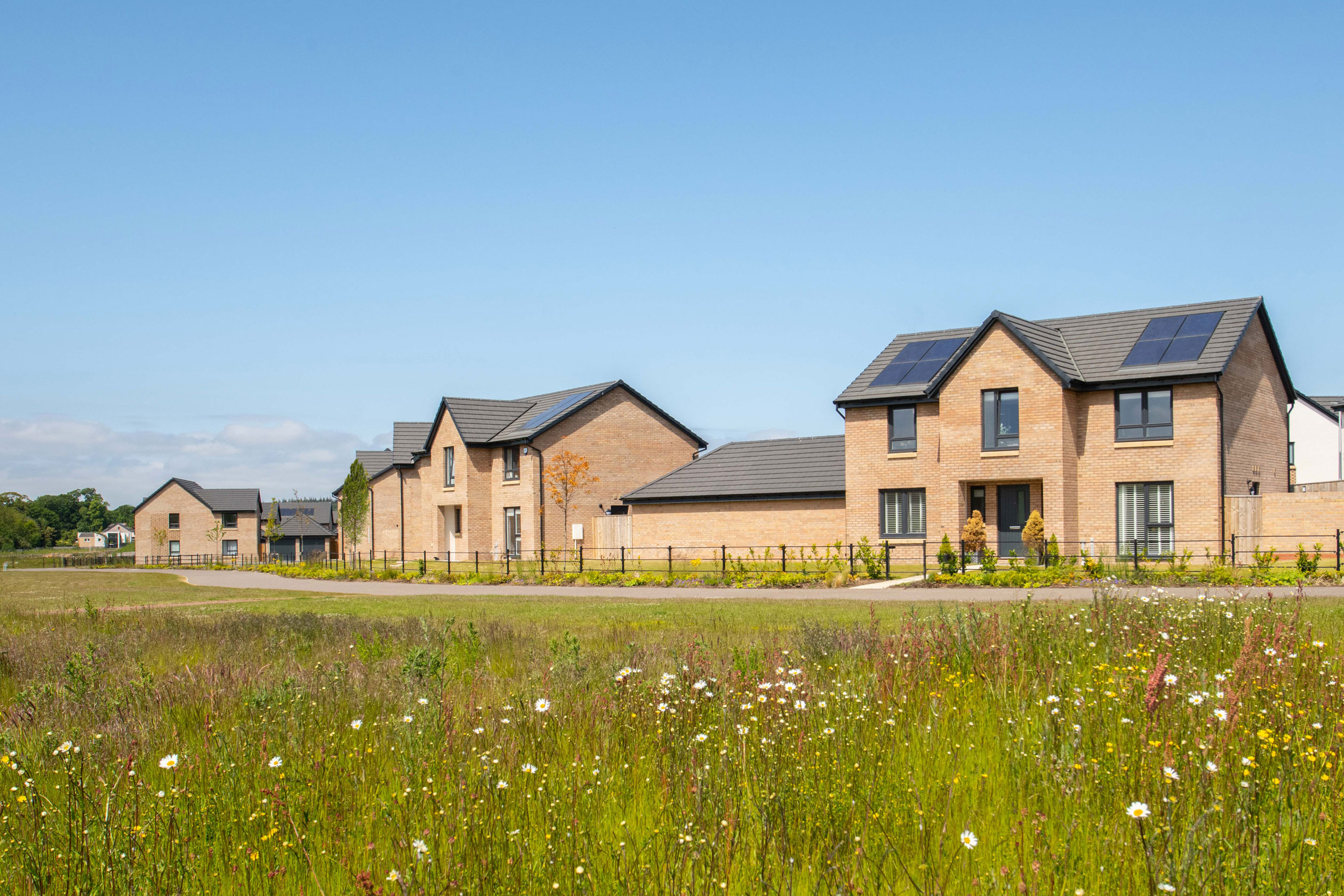 Cammo Meadows | New Homes in Edinburgh | David Wilson Homes