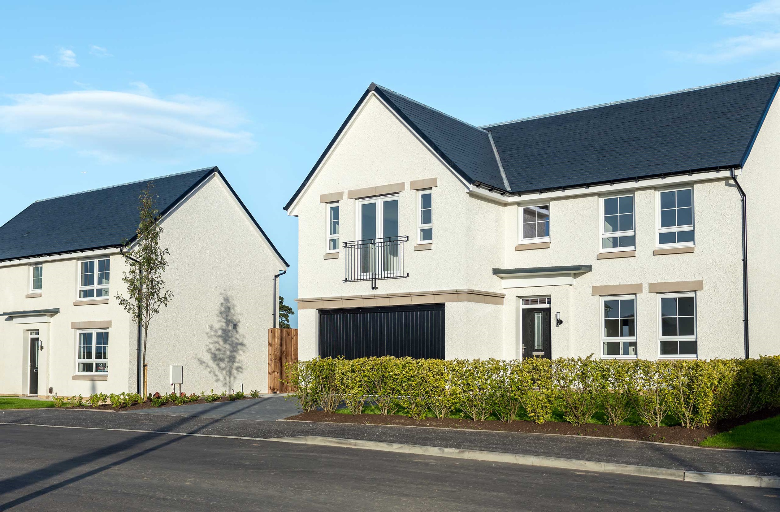Rosewell Meadow | New Homes in Midlothian | David Wilson Homes