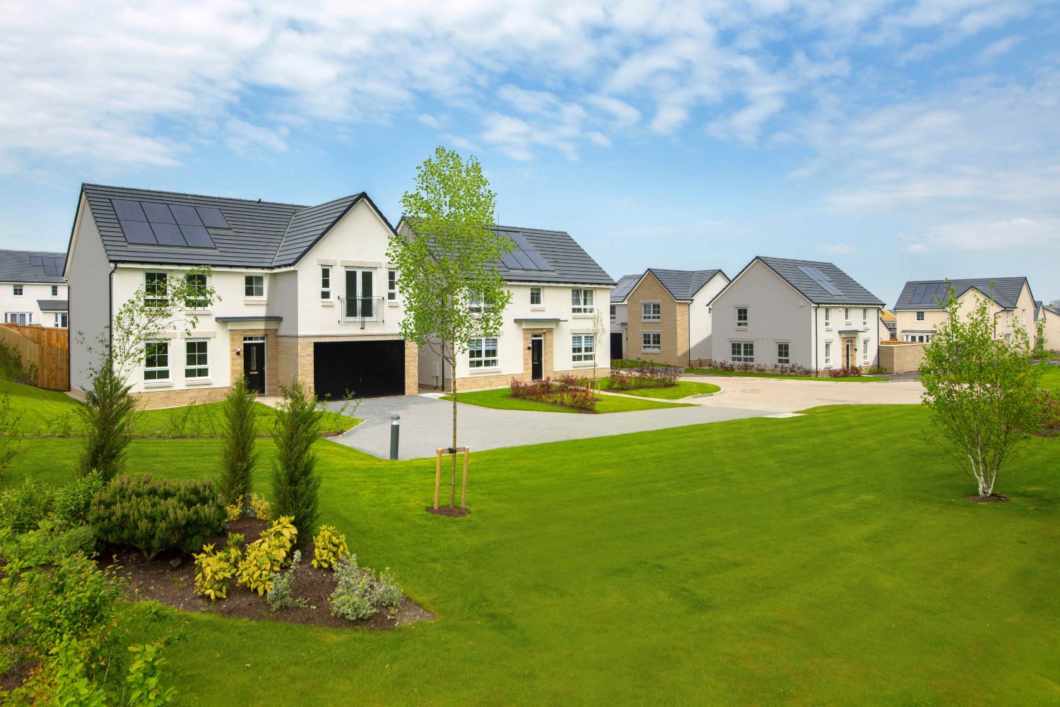 Rosewell Meadow | New Homes in Midlothian | David Wilson Homes