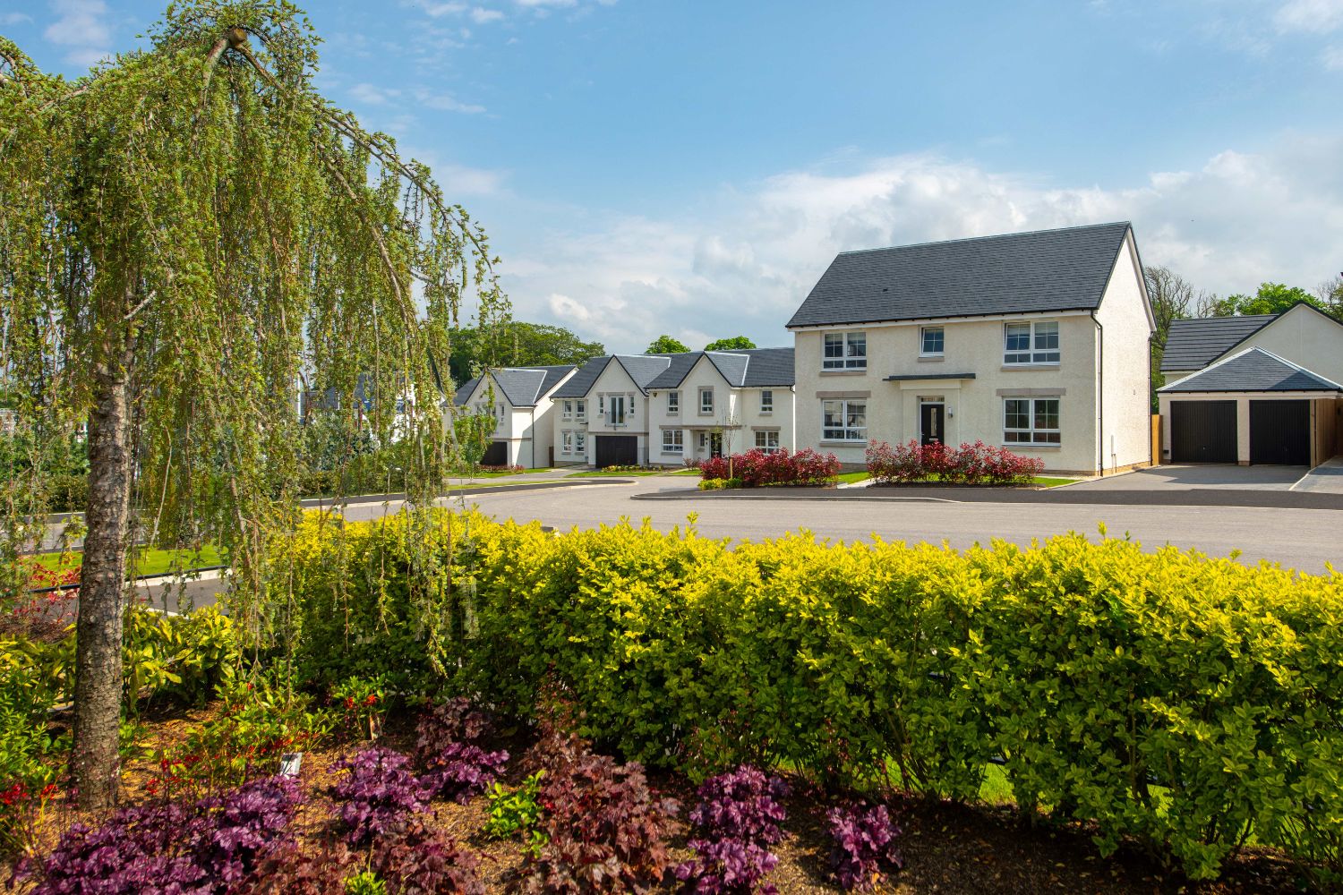 Rosewell Meadow | New Homes in Midlothian | David Wilson Homes