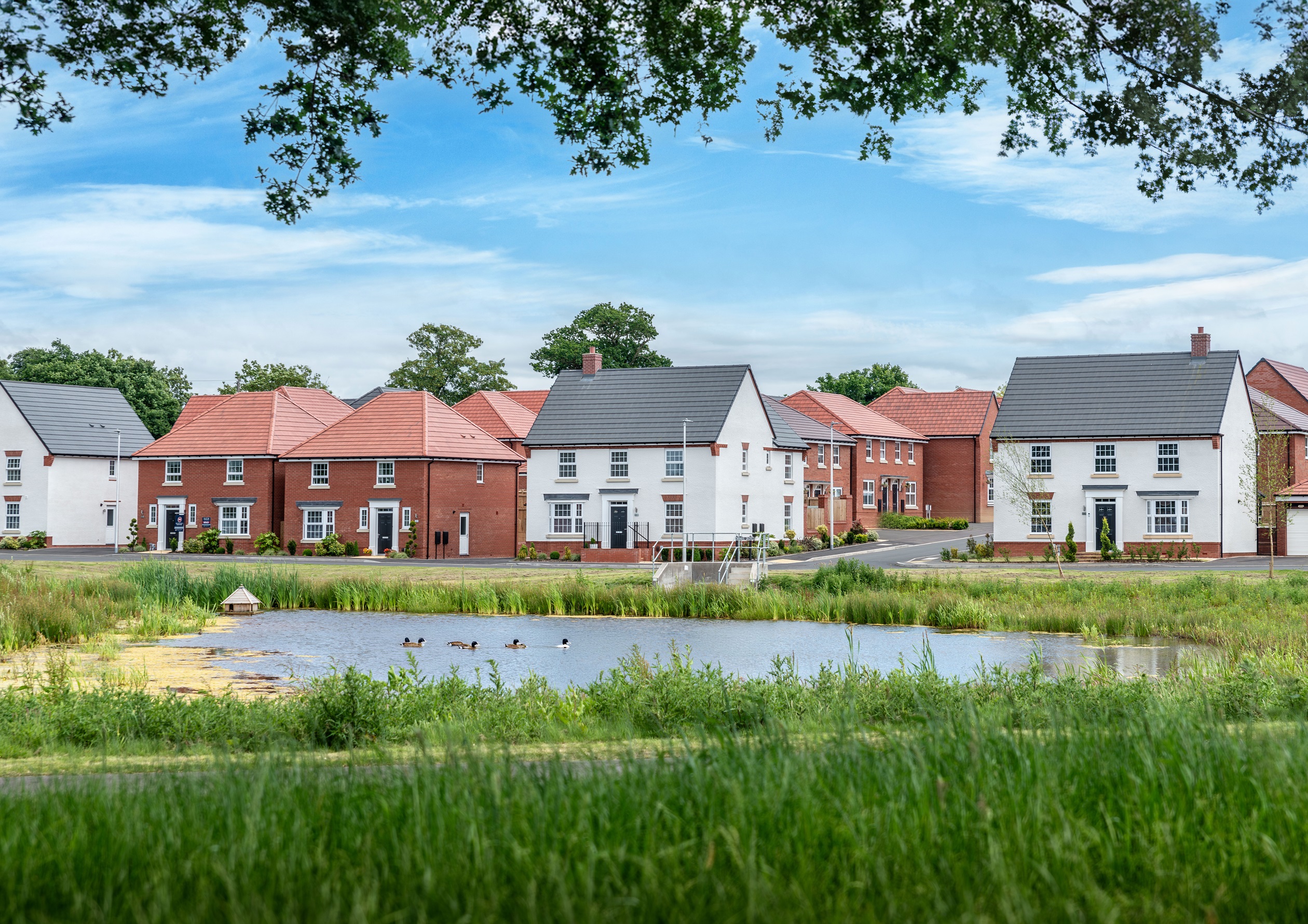 Rose Place | New homes in Shrewsbury | David Wilson Homes