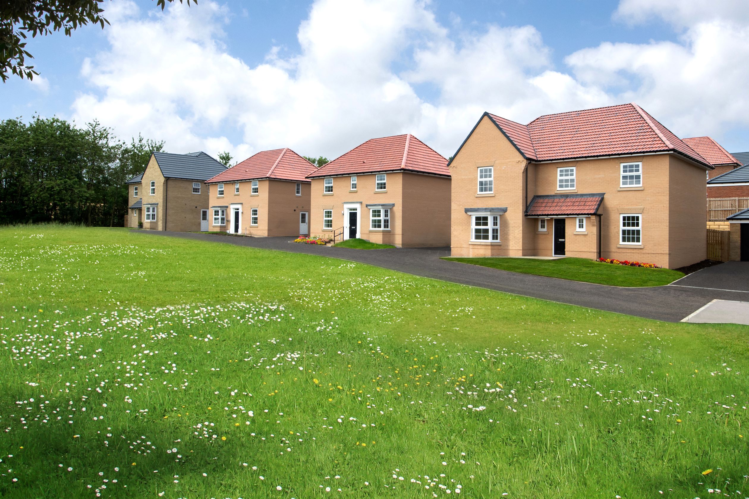 Elwick Gardens | New homes for sale in Hartlepool | David Wilson Homes