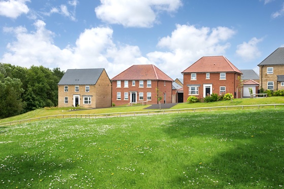 Elwick Gardens | New homes for sale in Hartlepool | David Wilson Homes