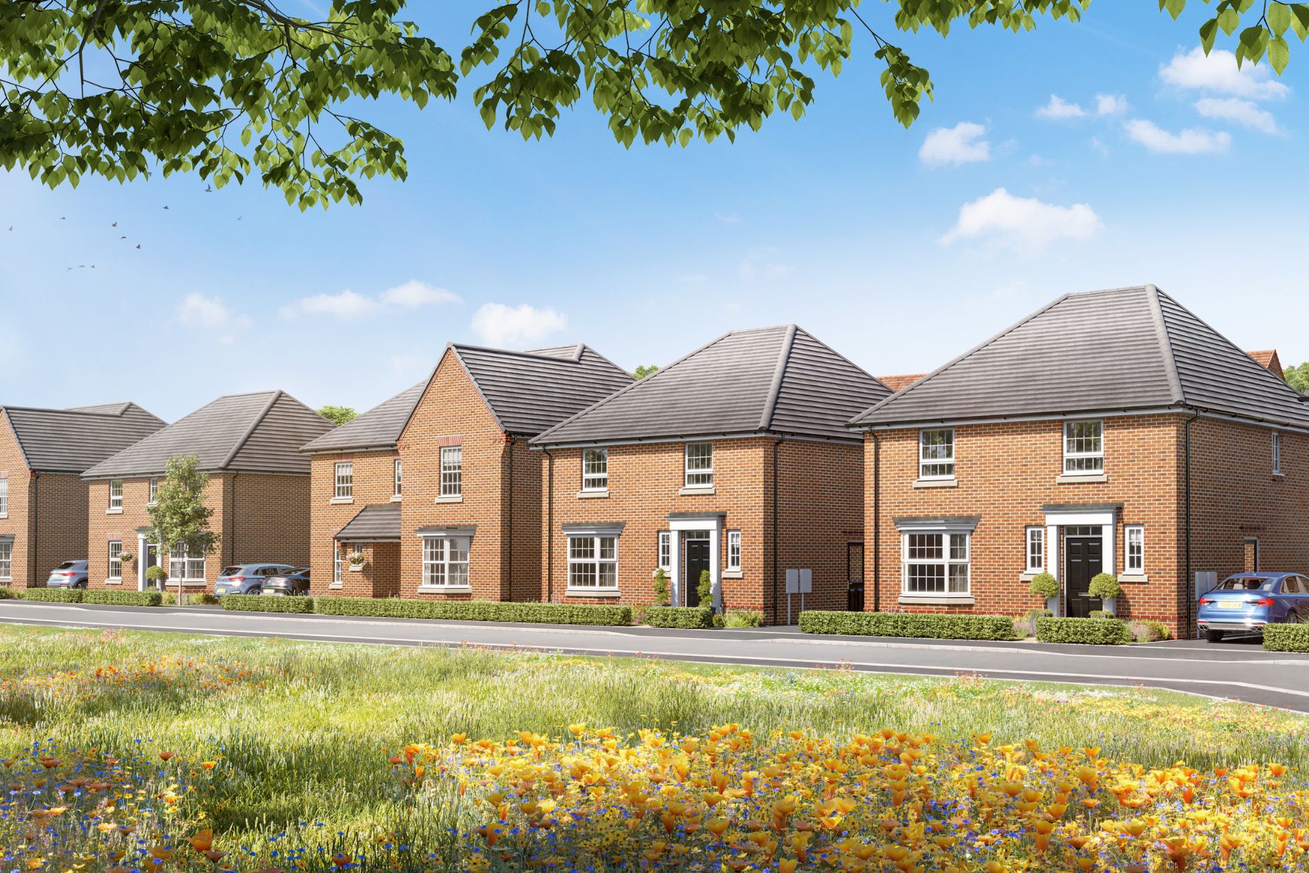 Maylands Park: New homes in Nantwich, Cheshire | David Wilson Homes