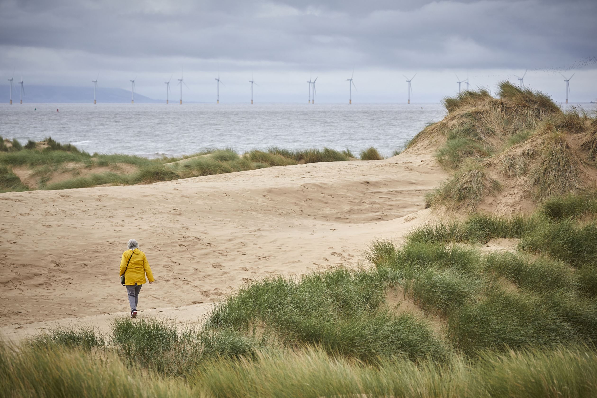 Pinewood Park: New homes in Formby | David Wilson Homes