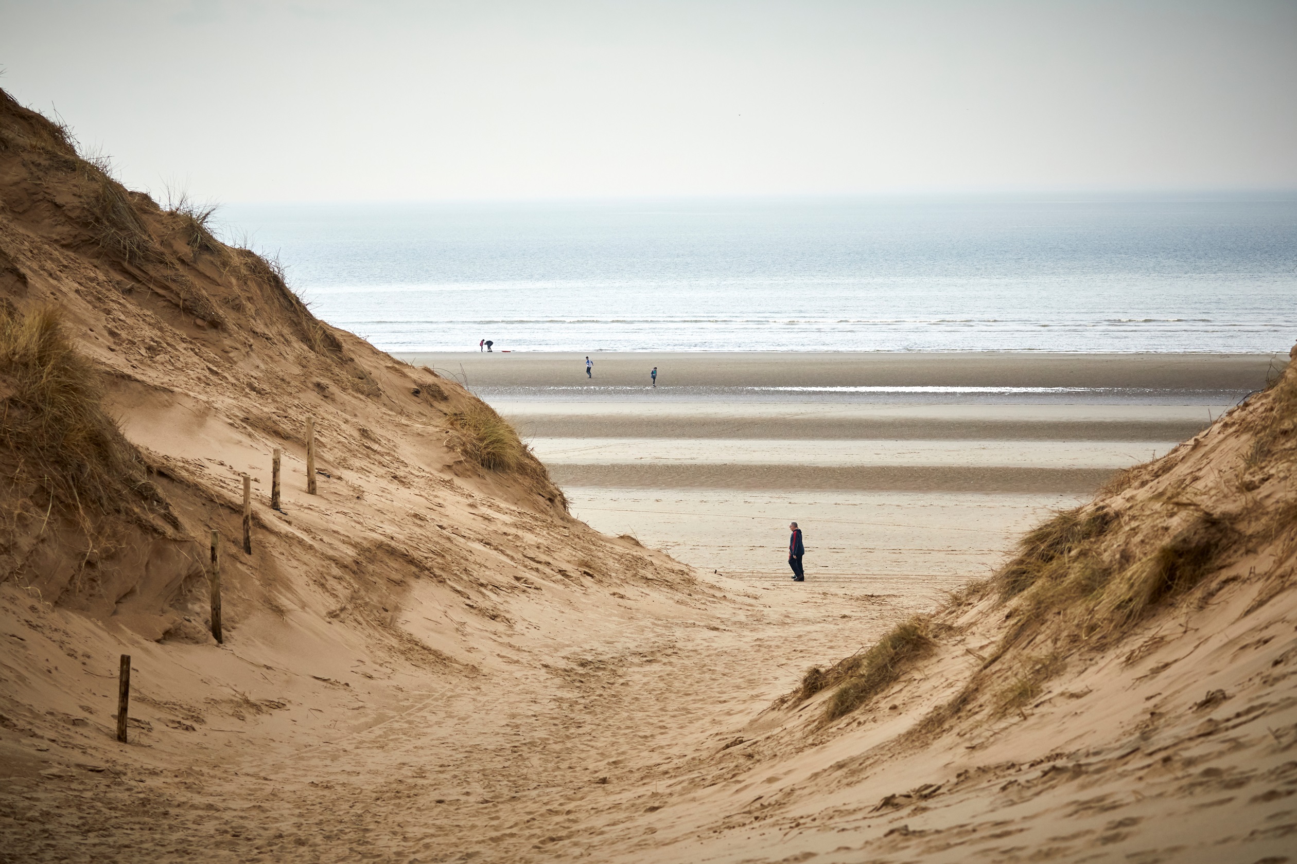 Pinewood Park: New homes in Formby | David Wilson Homes
