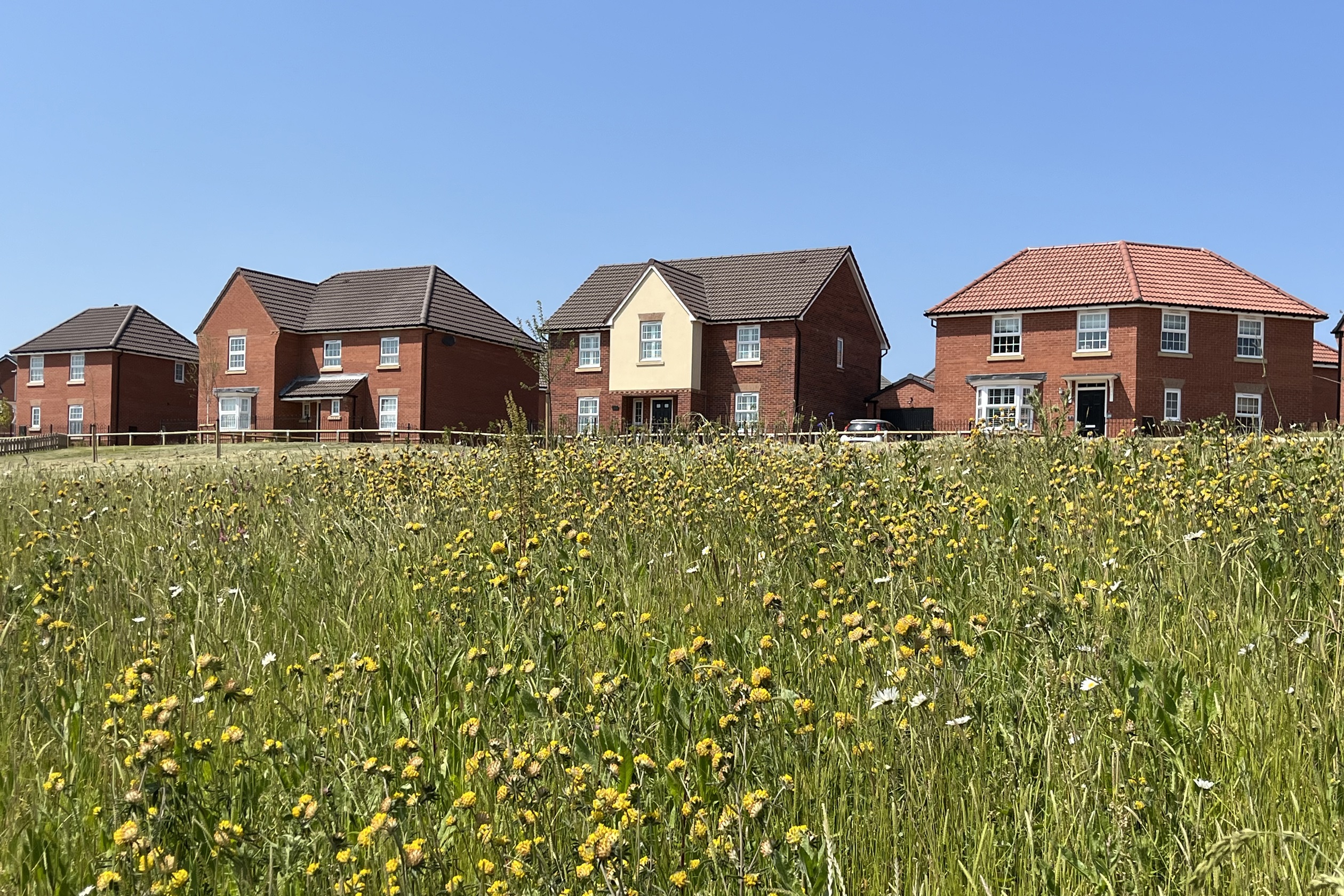 DWH at Wendel View: New homes in Wellingborough, Northamptonshire ...