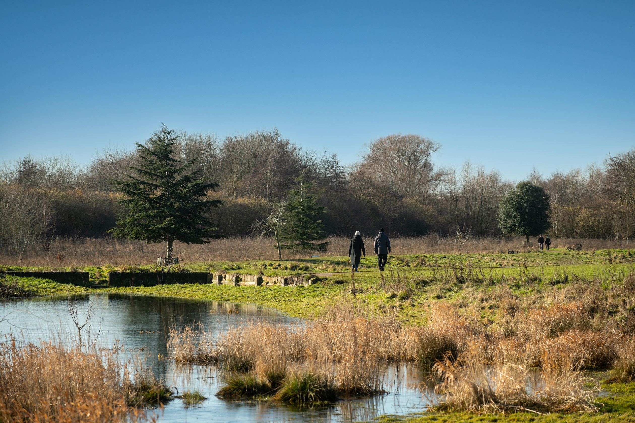 Harlestone Grange: New homes in Northampton, Northamptonshire | David ...