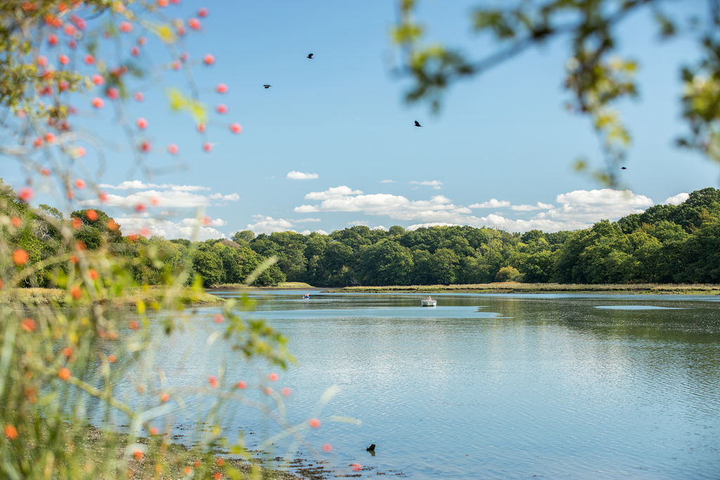 Forest Walk: New homes in Curbridge, Southampton | David Wilson Homes
