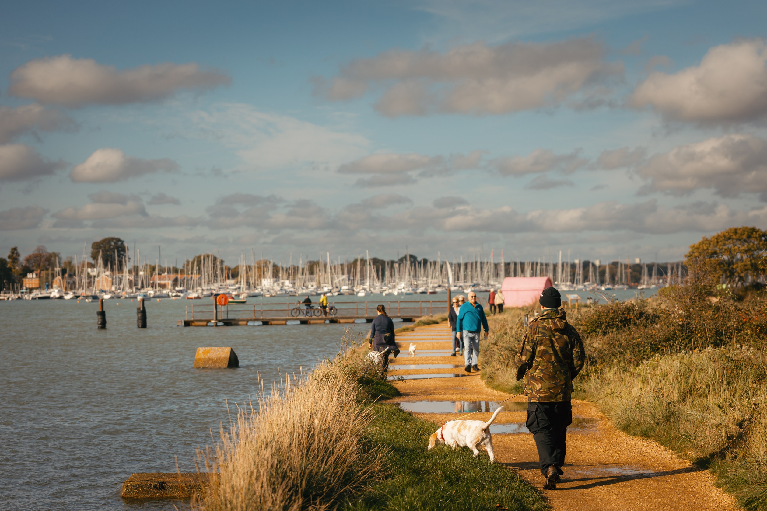 Forest Walk: New homes in Curbridge, Southampton | David Wilson Homes
