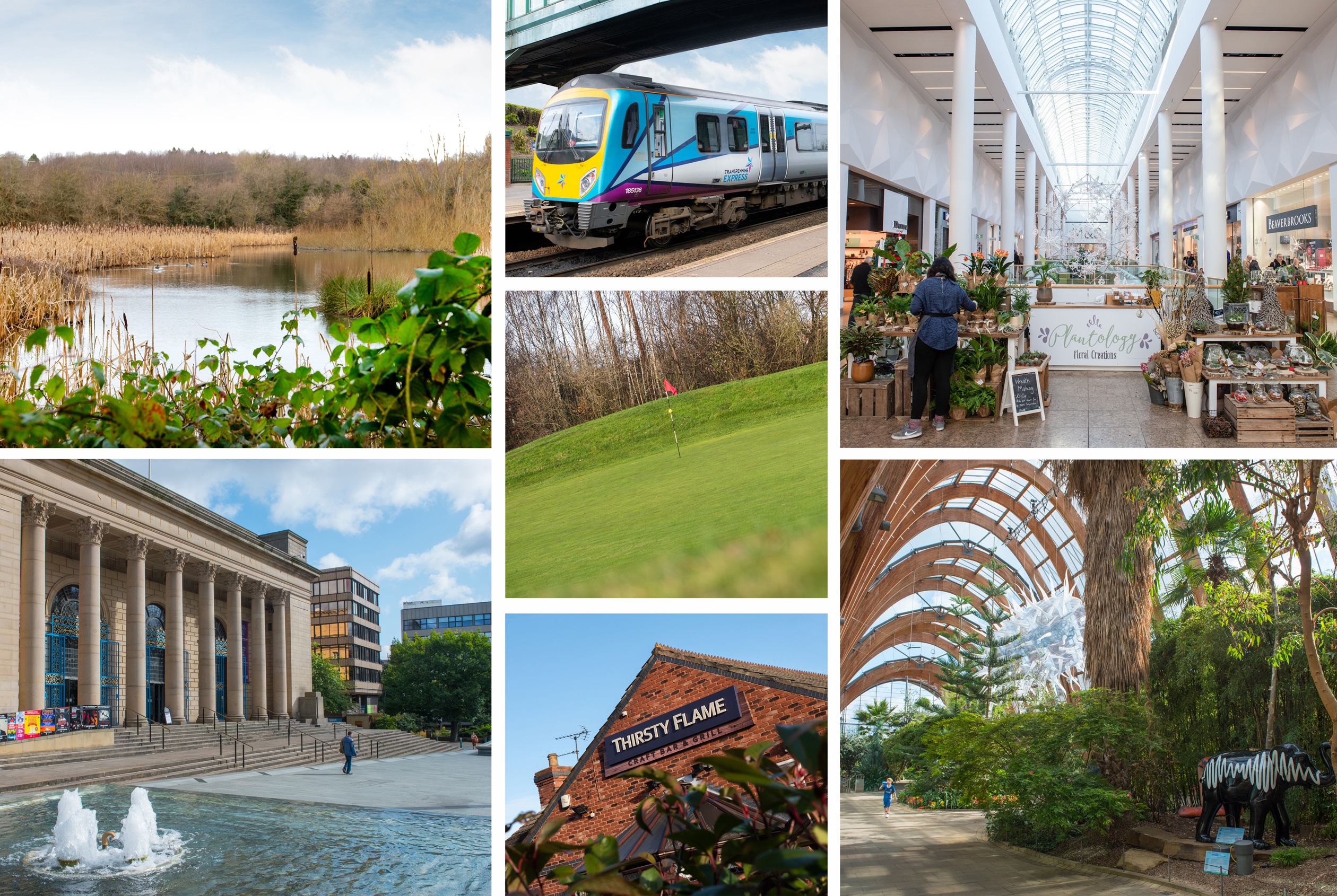 The Waterside: New homes in Waverley, South Yorkshire | David Wilson Homes