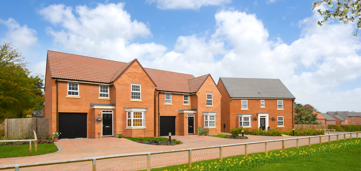 New Build Homes | 5 Star Housebuilders | David Wilson Homes
