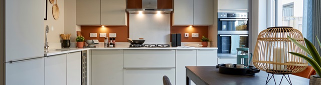 New Build Homes | 5 Star Housebuilders | David Wilson Homes